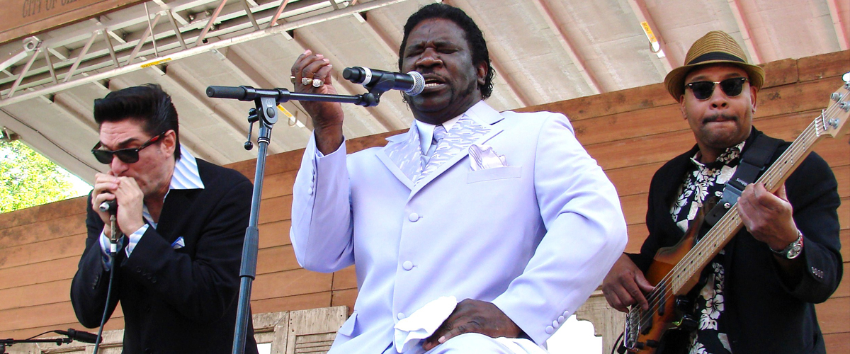 Bob Corritore - Official Website