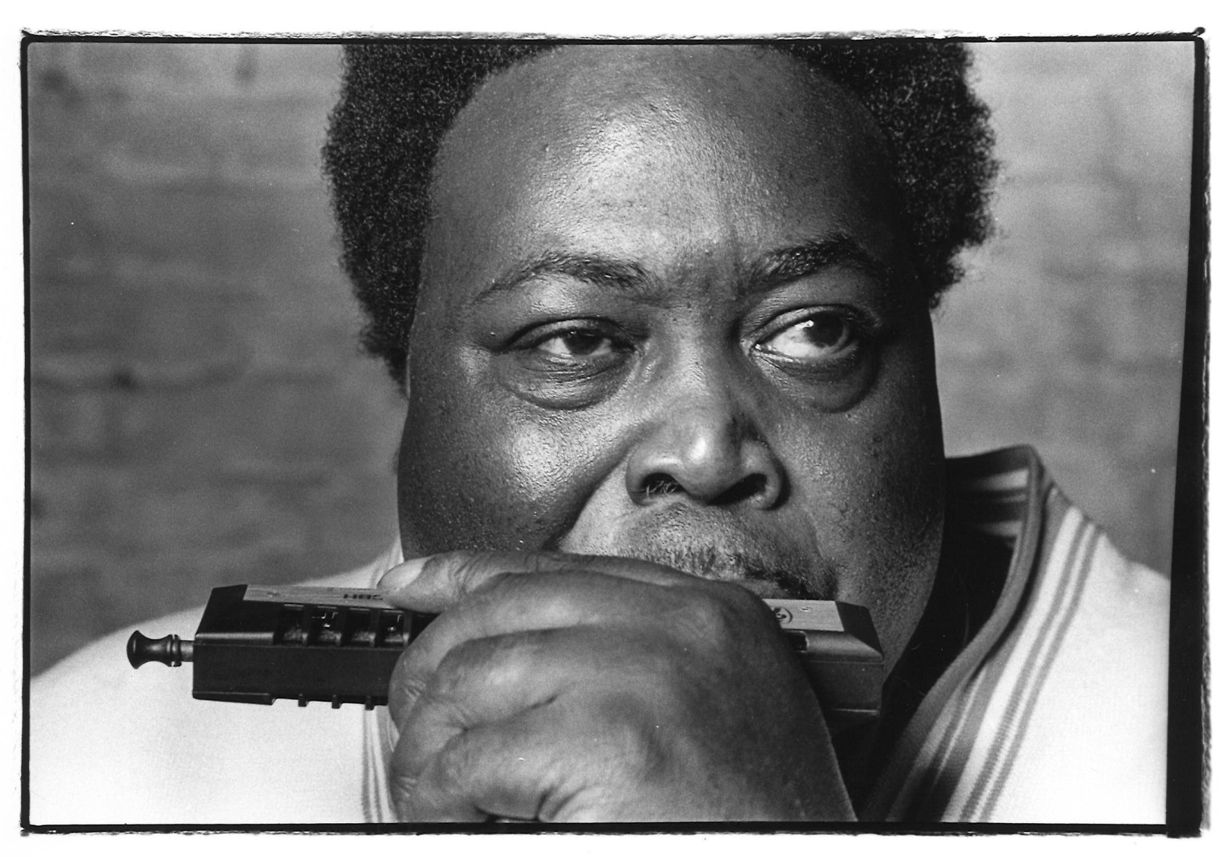 Low Blows (Chicago Blues Harmonica Anthology) Photos | Bob Corritore ...