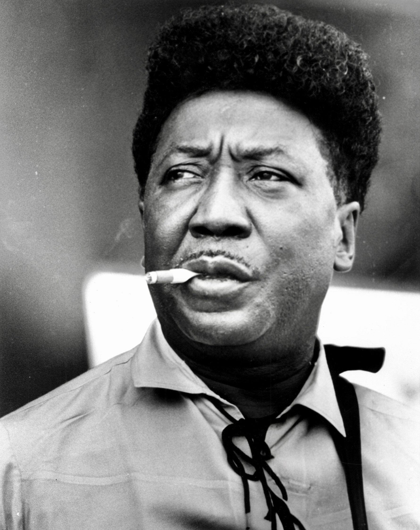 Historic Blues Photos by Doug Fulton | Bob Corritore - Official Website